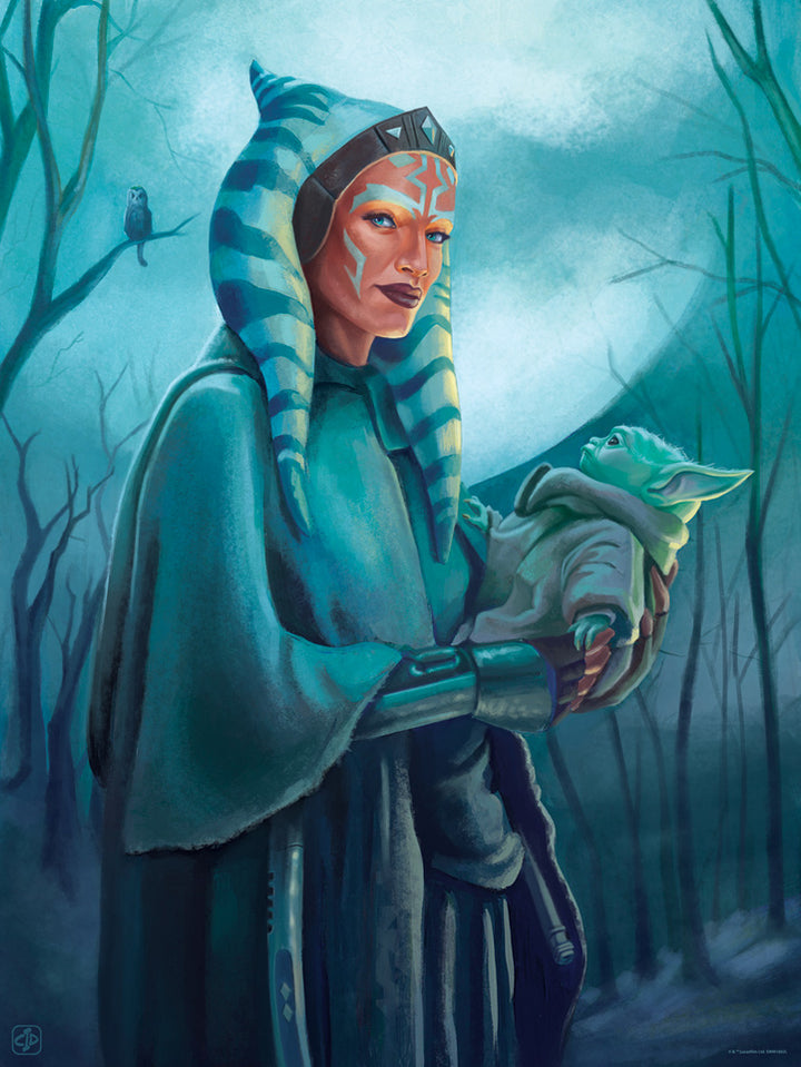 An Understanding by Candice Dailey | Star Wars — Dark Ink